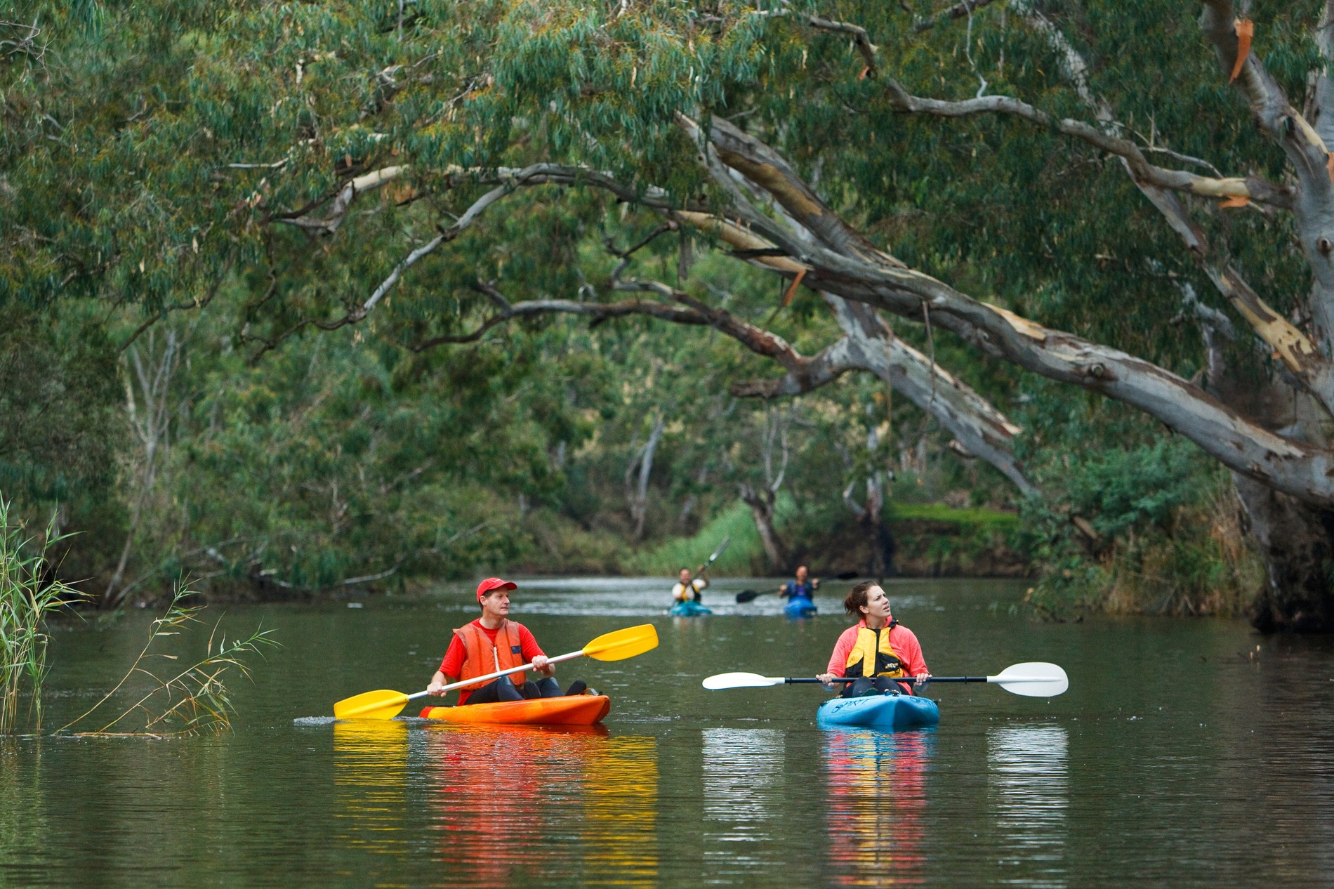 NatureWise™ Programs | People and Parks Foundation