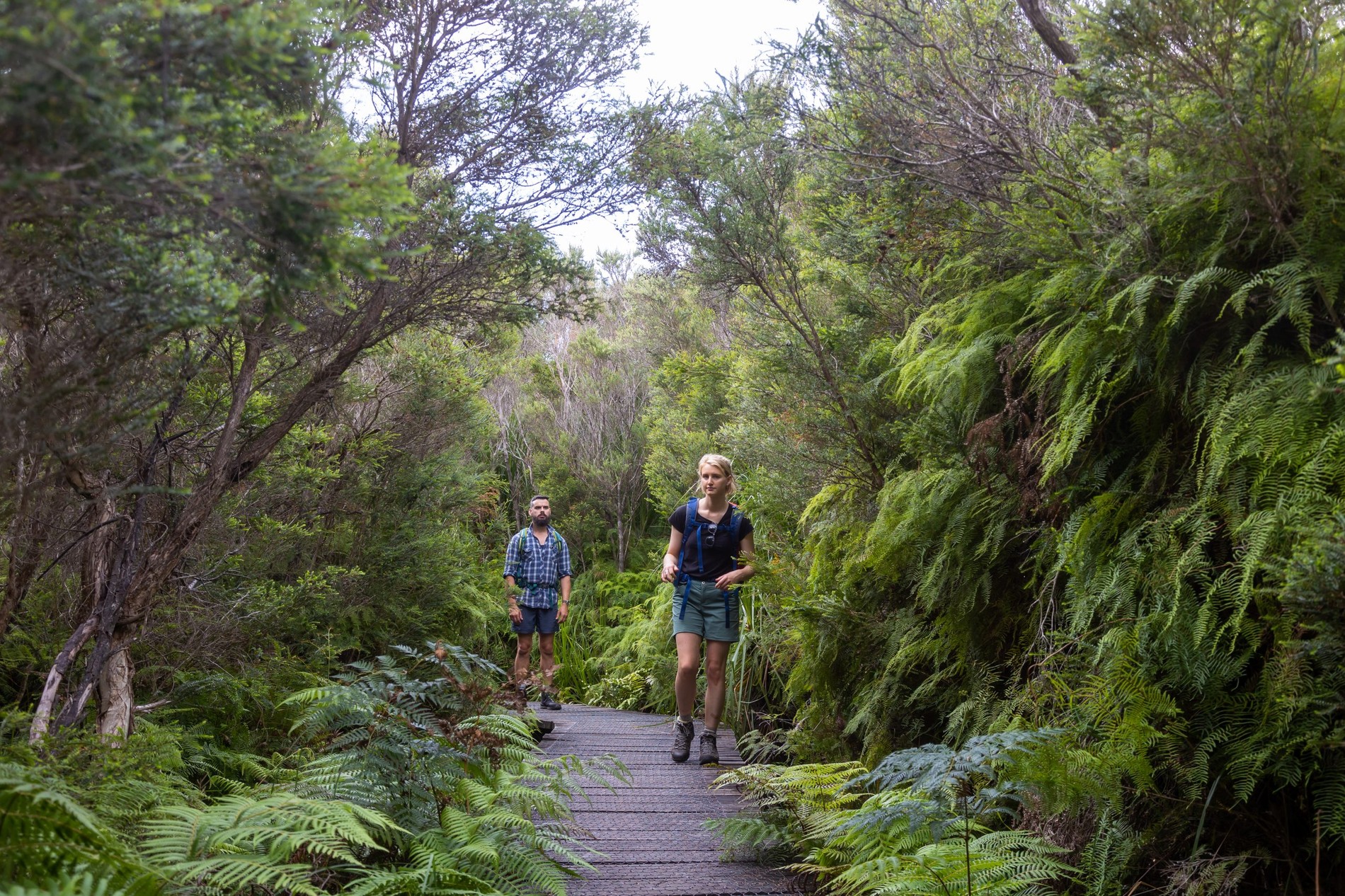 Wilsons Promontory National Park - The Prom Sanctuary | People and ...