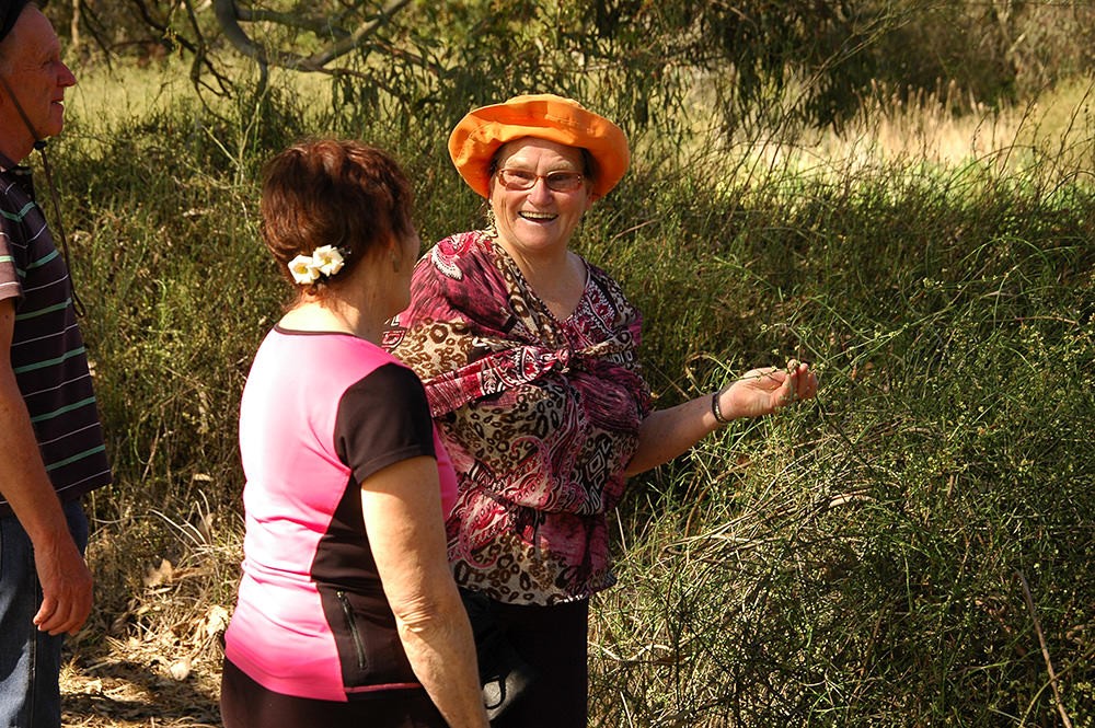 Active in Parks: Senior Week Guided Walks | People and Parks Foundation