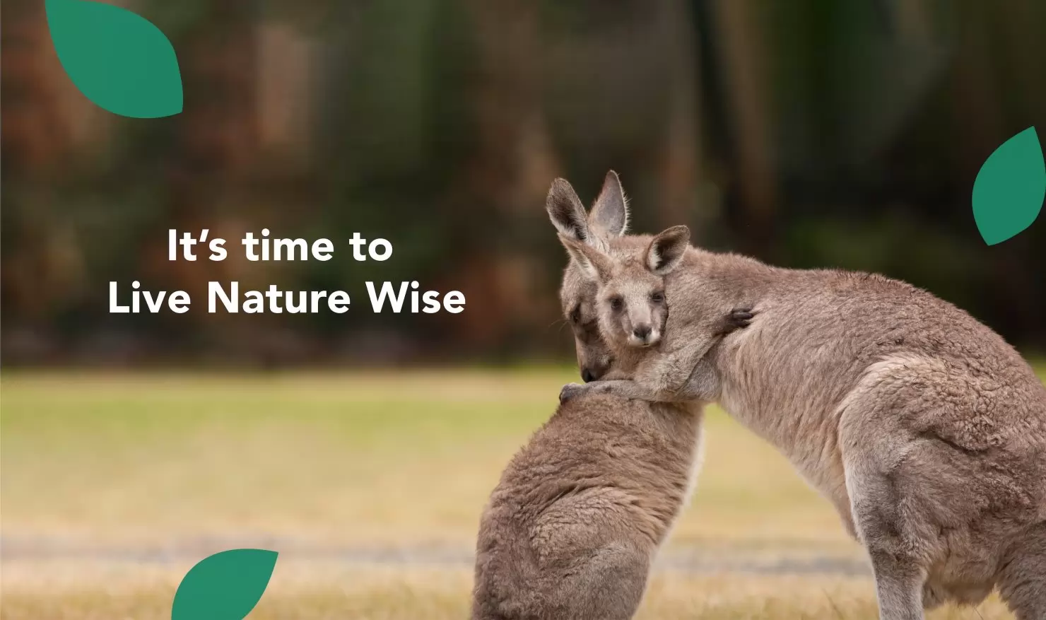 The #NaturePact Campaign | People and Parks Foundation
